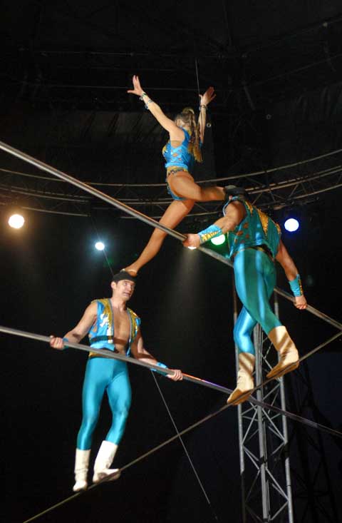 Association Evénement Cirque - Fliegenpilz