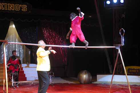 Association l'Evénement Cirque - Médrano